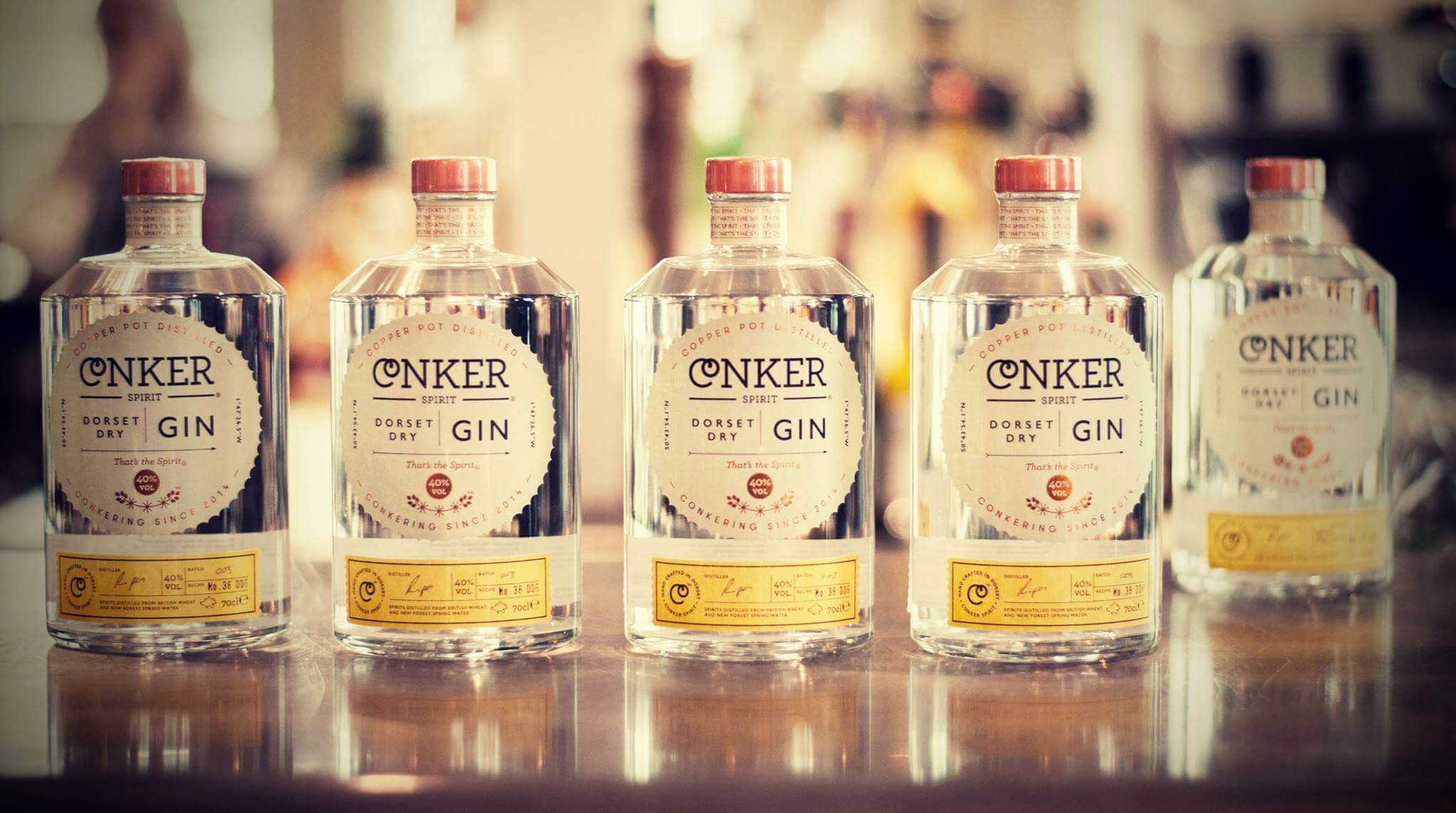 Conker Spirit | Gin of the Month Box